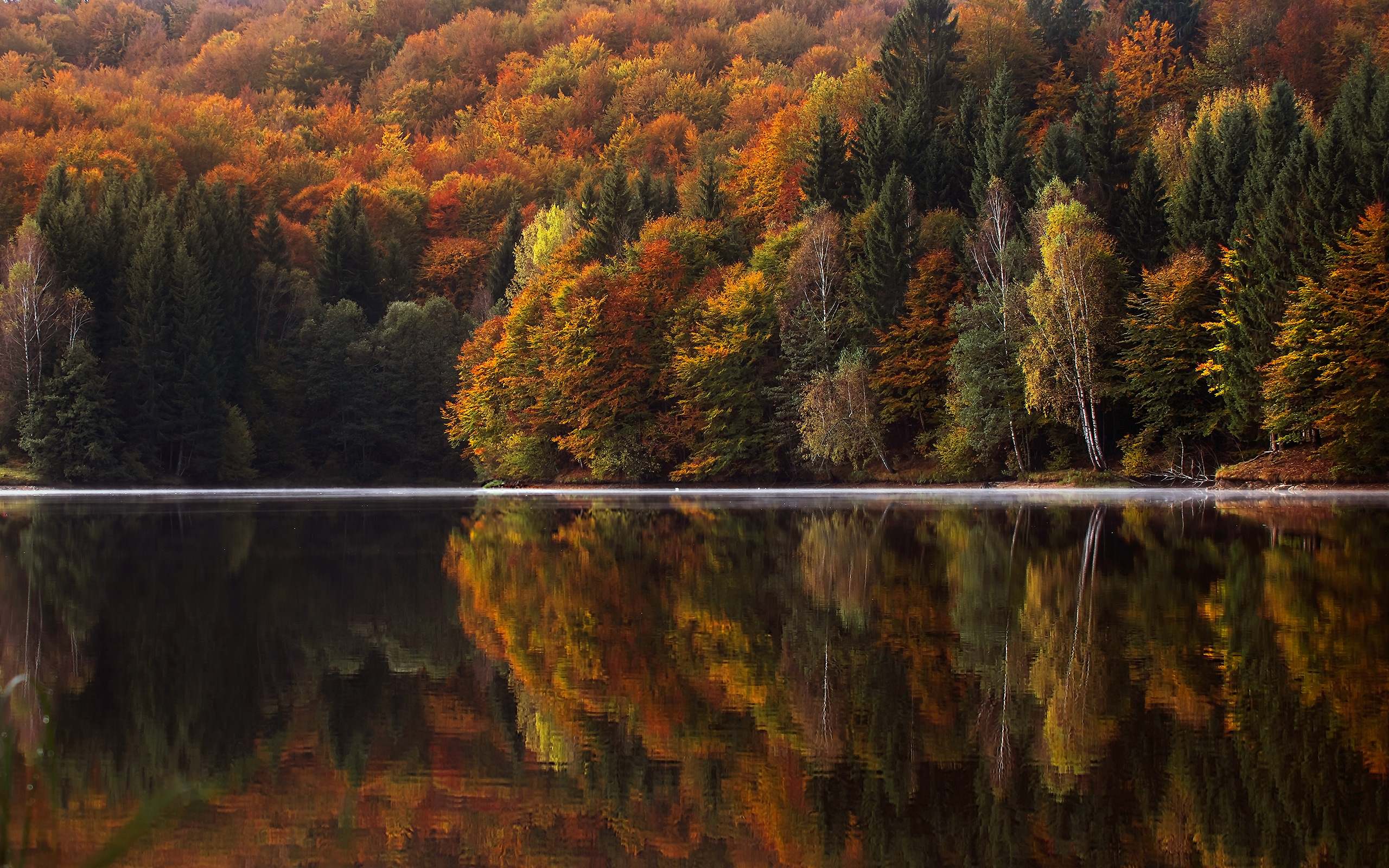 Daily Wallpaper: Autumn in the Mountains | I Like To Waste My Time