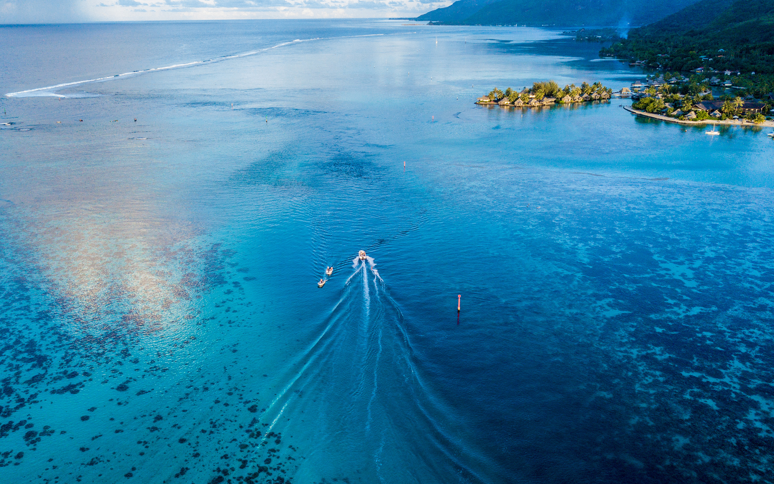 Into The Blue Wallpaper