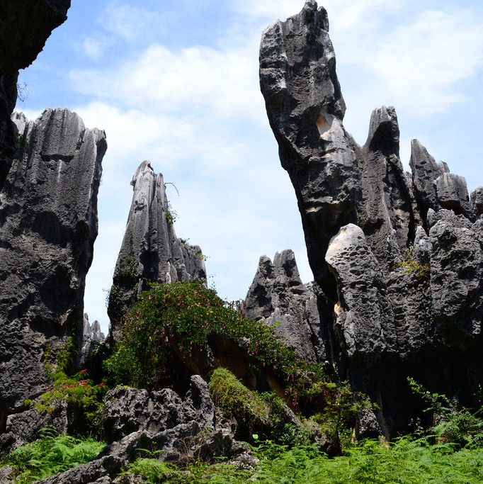 China's Mythical Shilin Stone Forest | I Like To Waste My Time